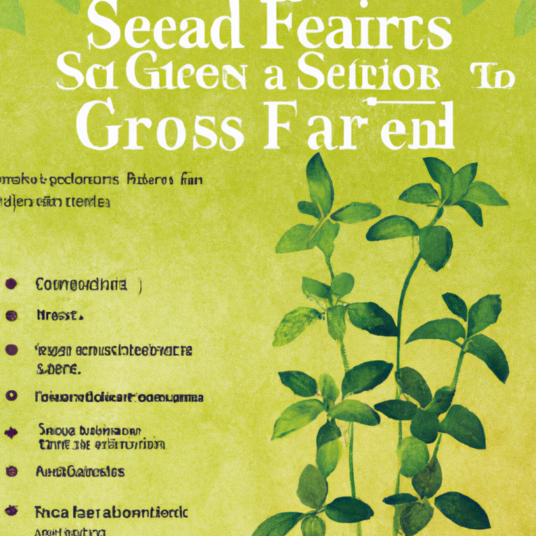 Fast Growing Herbs from Seed: The Ultimate Guide for Beginners ...